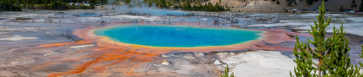 Tracing the Unseen: The Critical Role of Microbial Source Tracking in ...