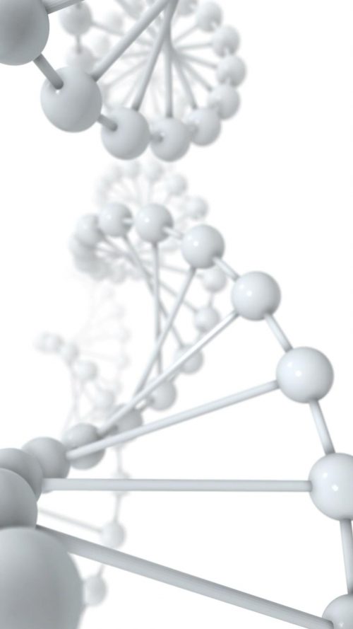 Contact Us | Full Service Bioanalytical Lab | Helix Bio Labs